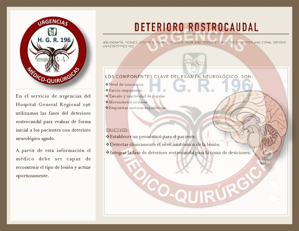 Fases del Deterioro Rostrocaudal en Neurología Aguda: Evaluación y ...