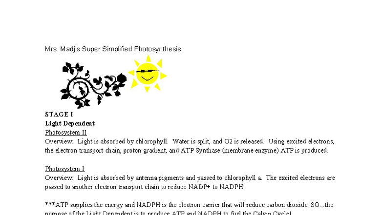 Simplified Photosynthesis Overview for DE Biology - Studocu