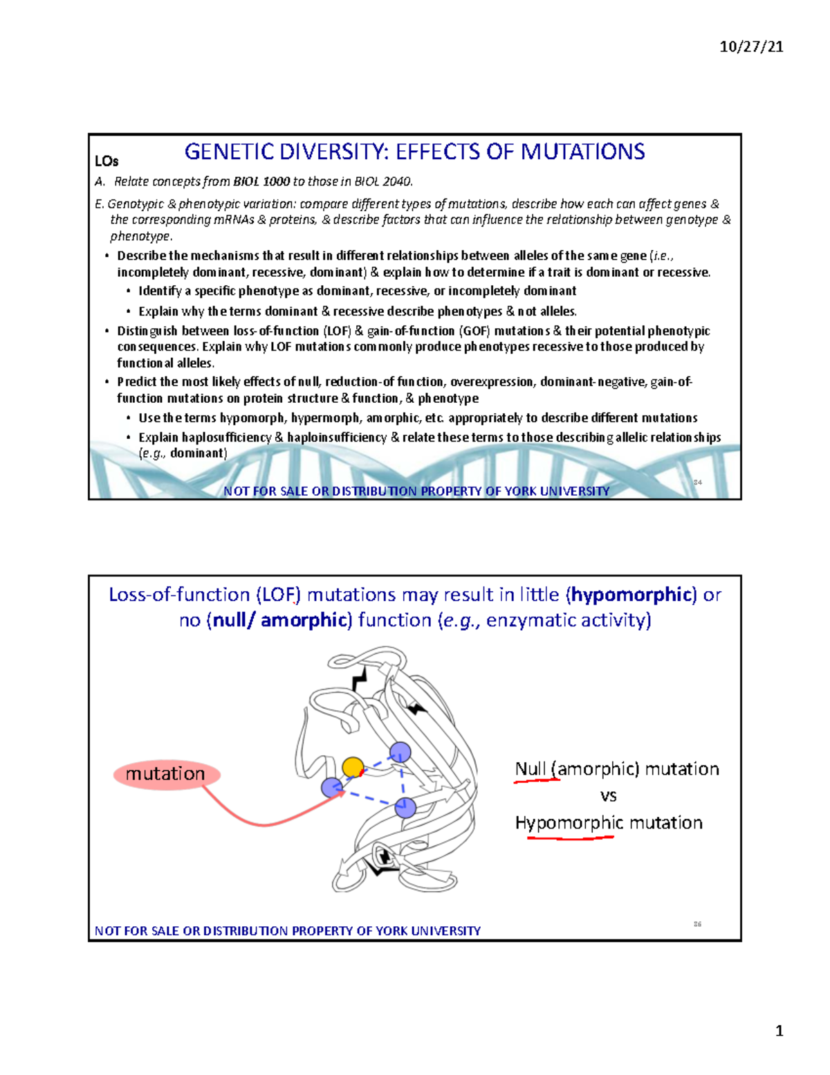 Effects of LOF Mutations in BIOL 2040: Genetic Diversity Insights - Studocu