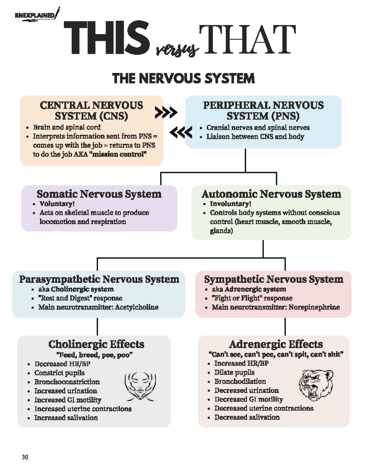 RNEXPLAINED Nervous System Cheat Sheet: CNS & PNS Overview - Studocu