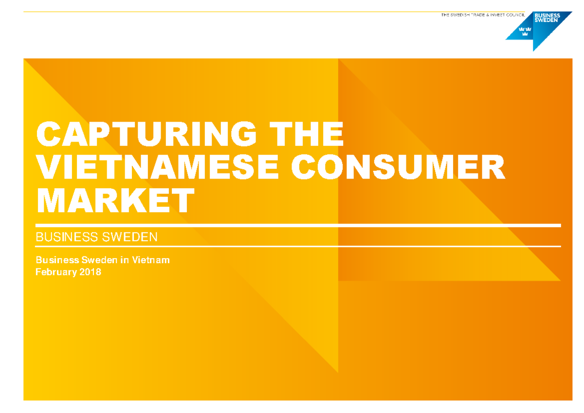Vietnam consumer goods point of view - CAPTURING THE VIETNAMESE ...