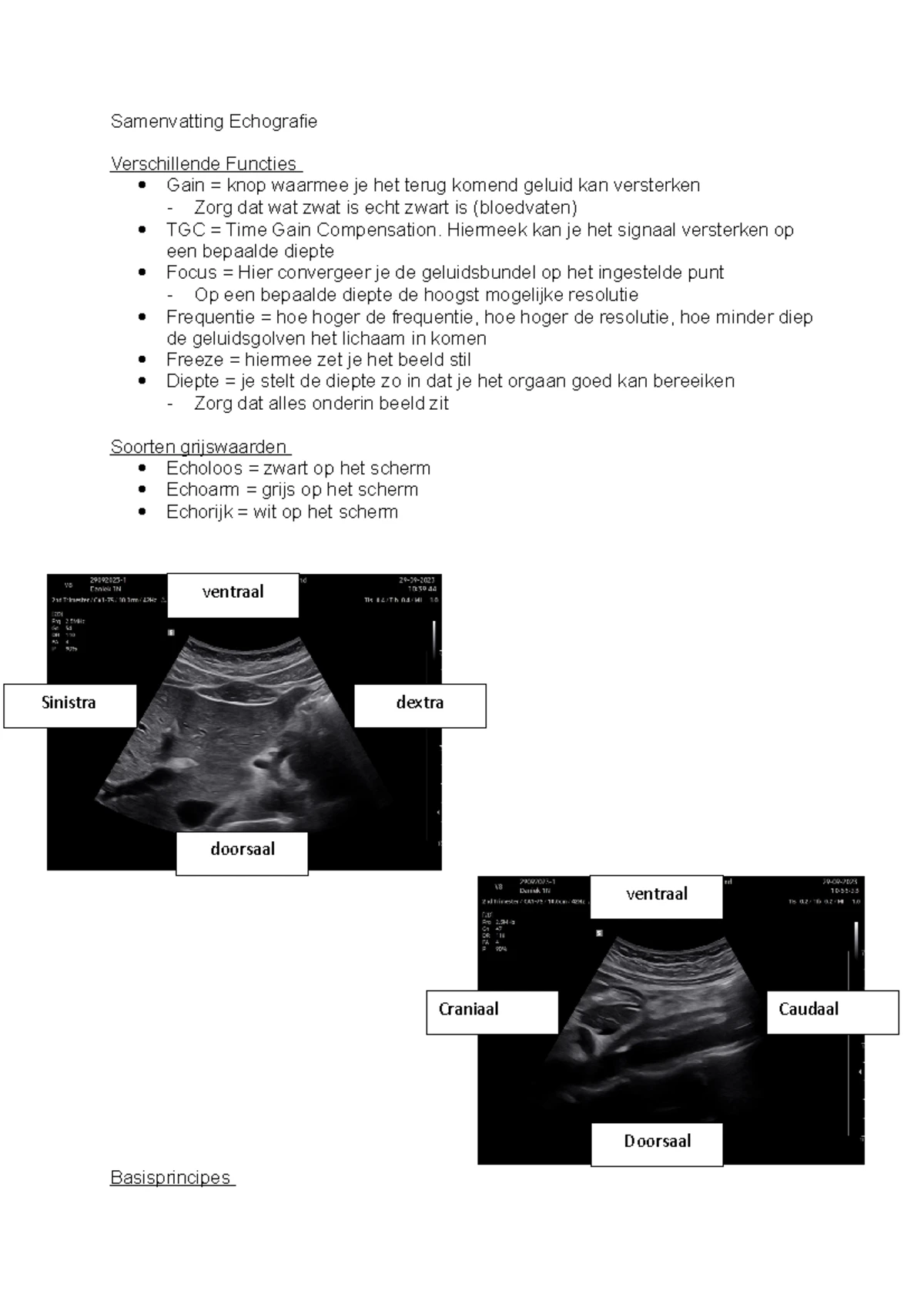 Echografie P5: Lever Anatomie en Scantechniek Overzicht - Studeersnel