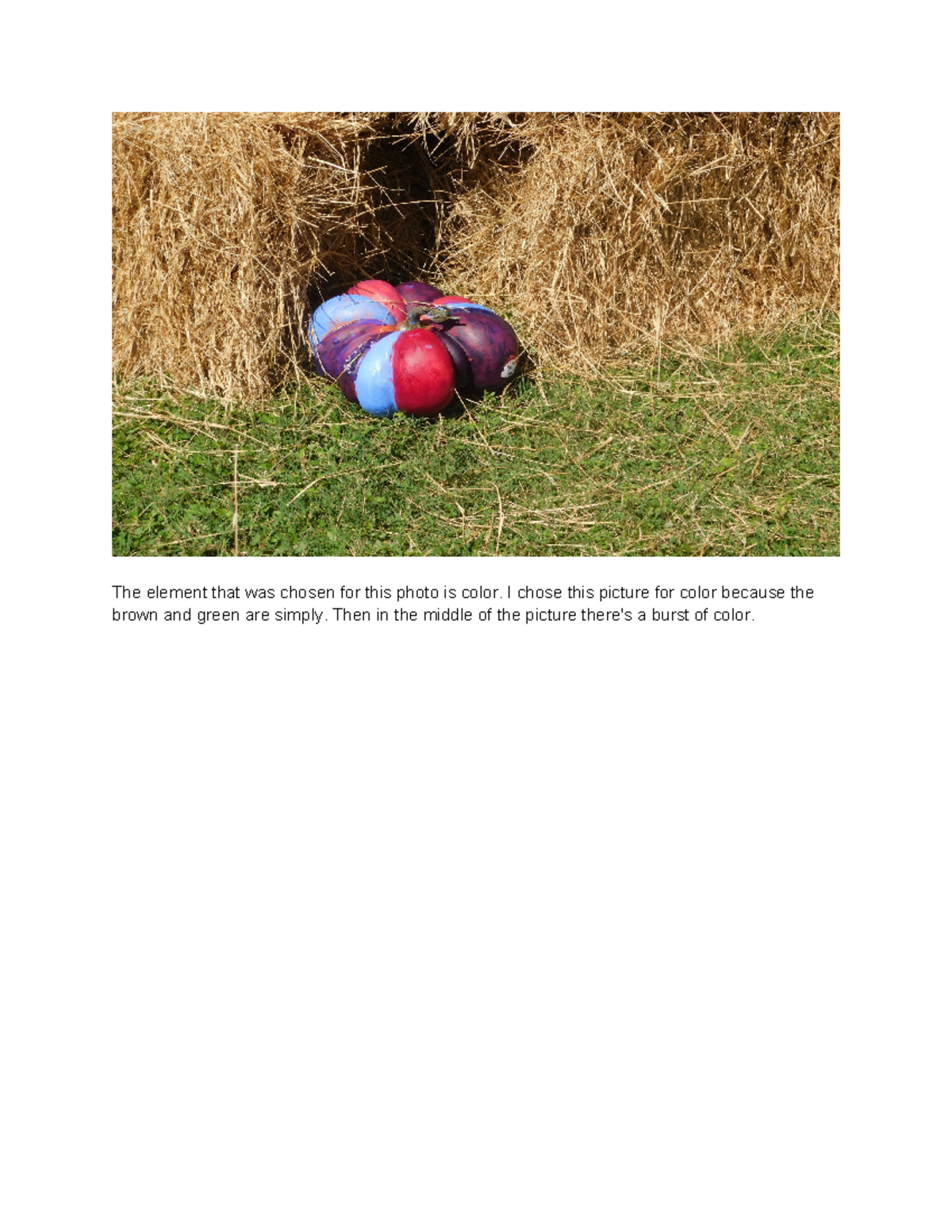 3.04 Photography - 3.04 - The element that was chosen for this photo is ...