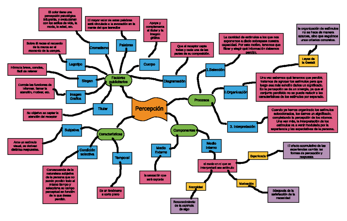 Mapa Mental Percepción - Percepción Características Subjetiva Condición ...