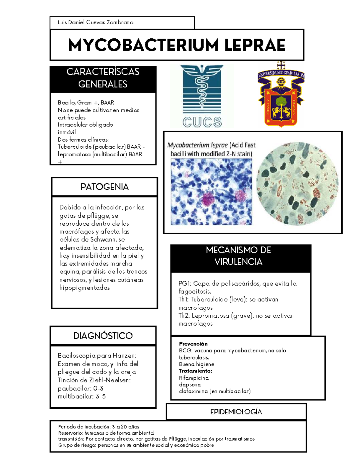 MYCOBACTERIUM LEPRAE: Características, Patogenia y Diagnóstico - Studocu