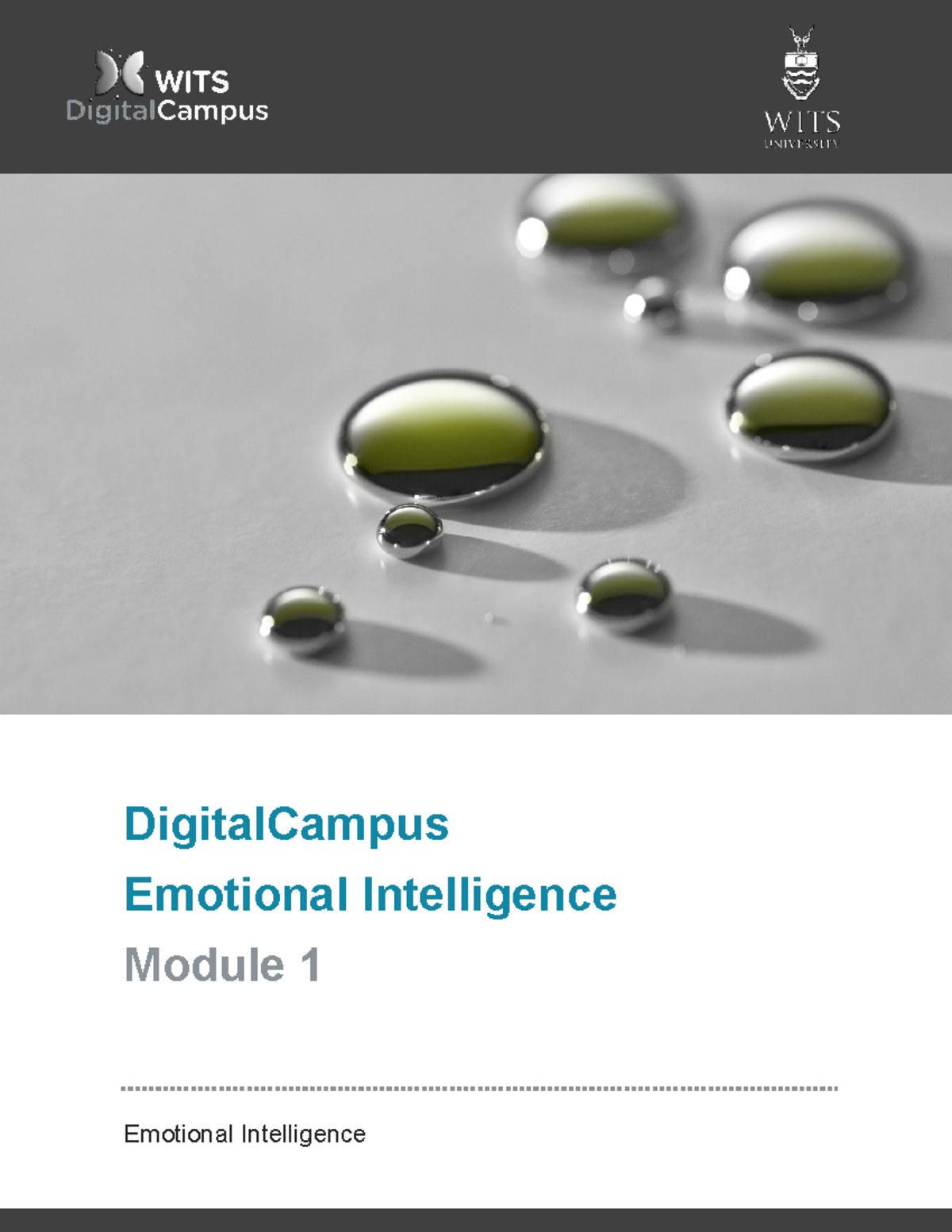 Emotional Intelligence - Module 1: Understanding Core Concepts and ...