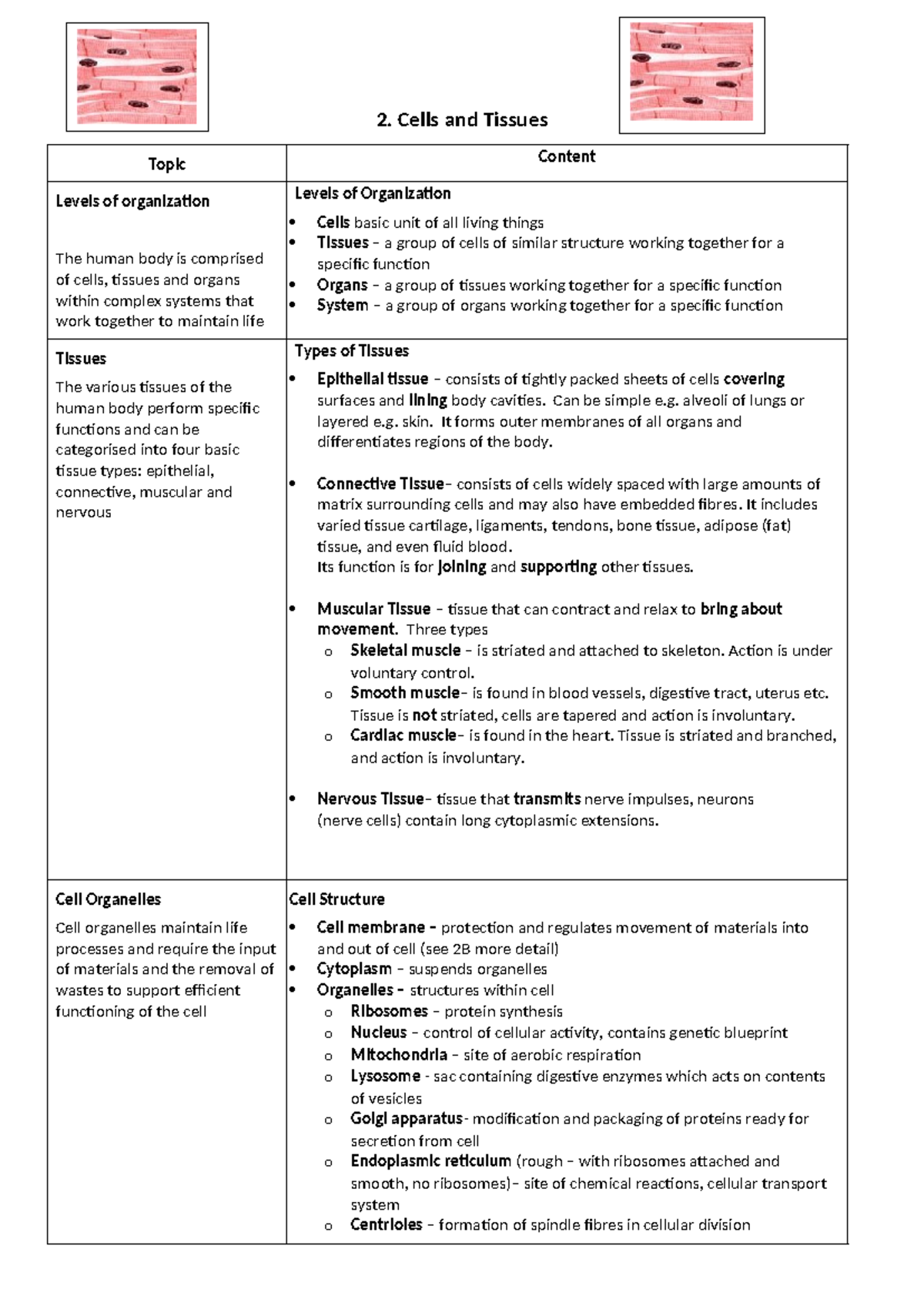 2. Cells and Tissues: Levels of Organization and Functions (BIO 2025 ...