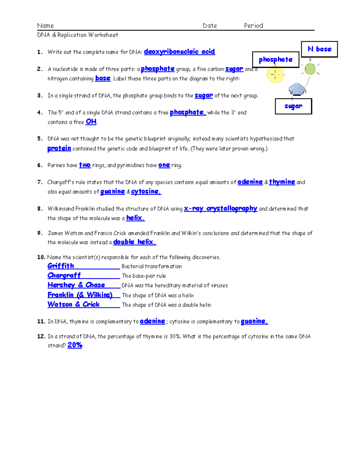 DNA & Replication Worksheet Answers - Key Concepts and Discoveries ...