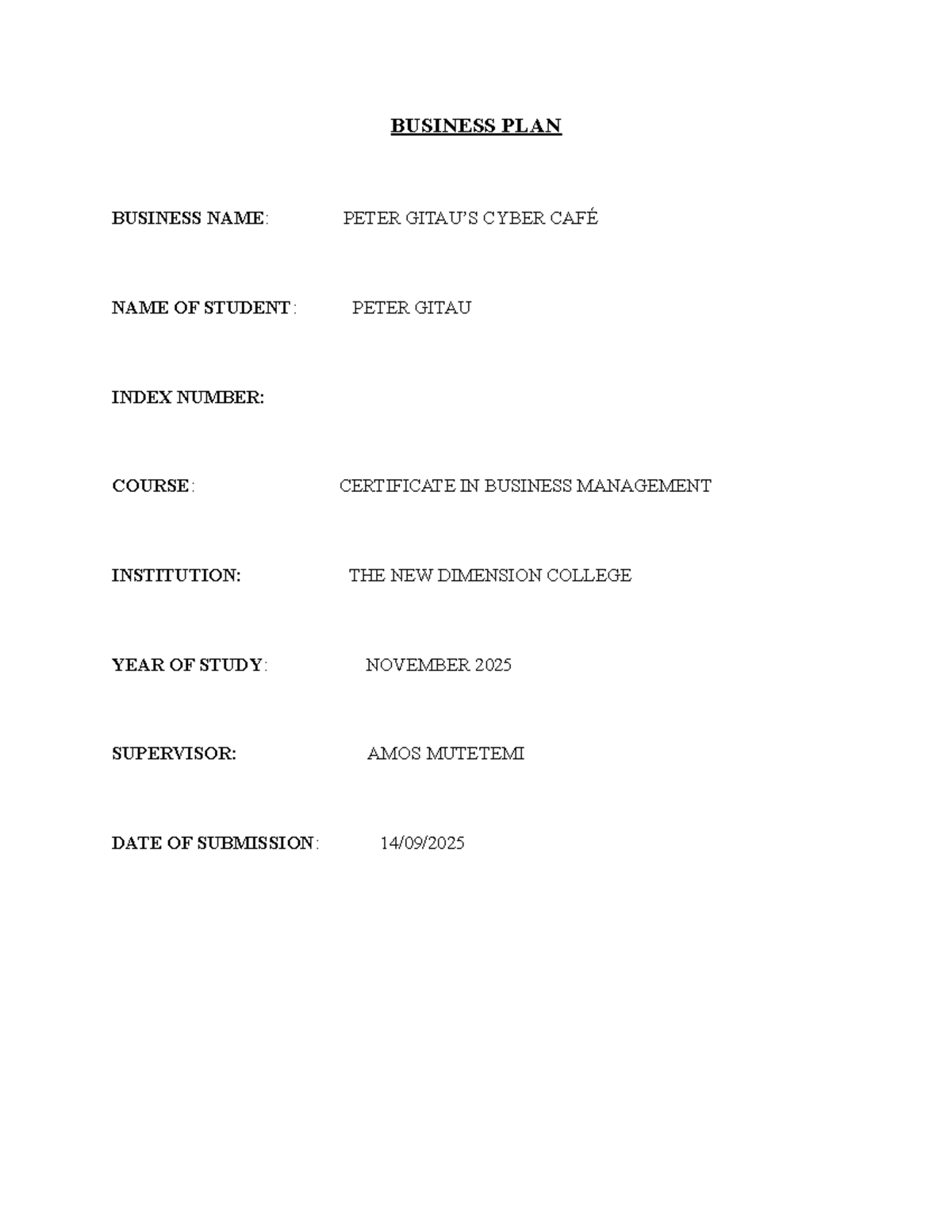 BUSINESS PLAN: PETER CYBER CAFÉ - CERTIFICATE IN BUSINESS MANAGEMENT ...
