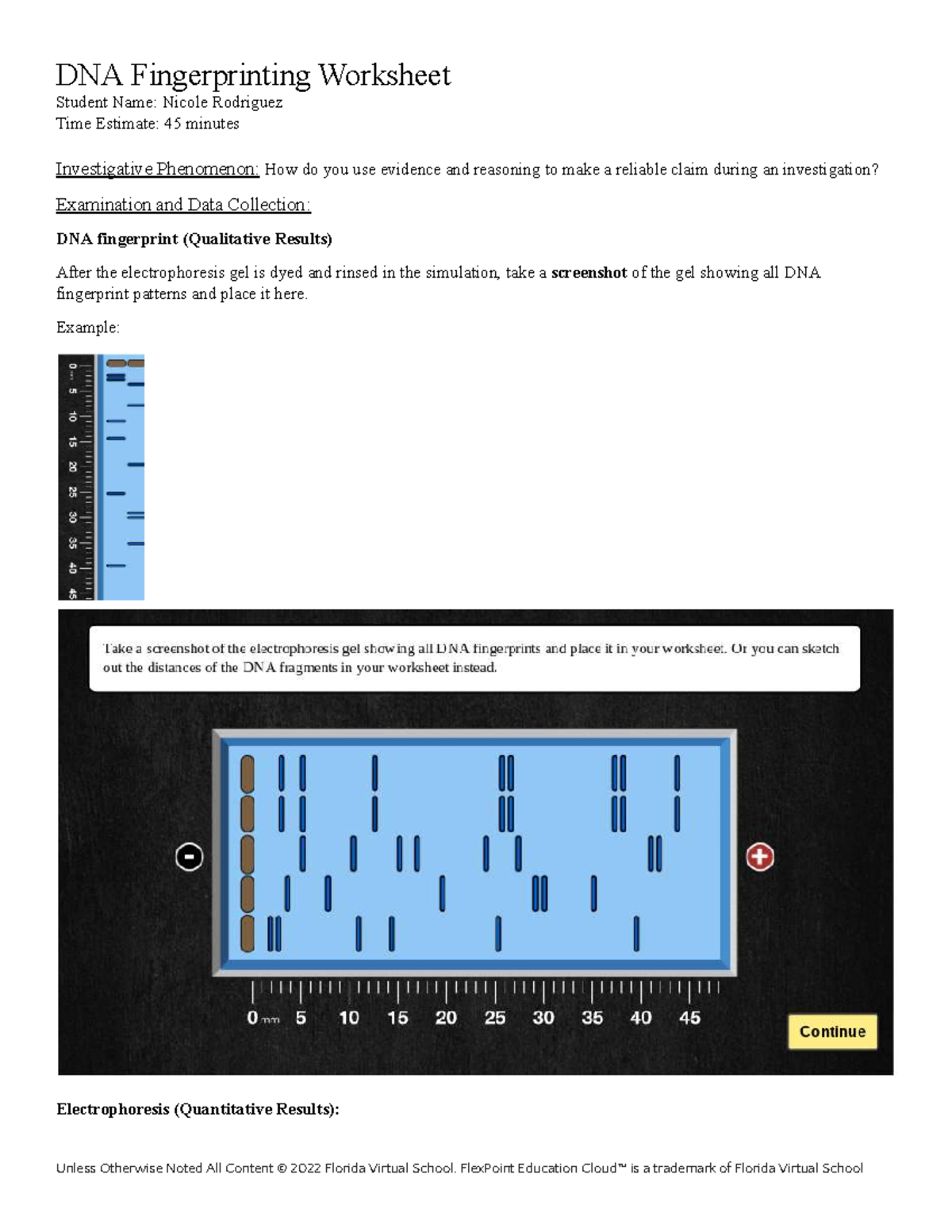 Dna Fingerprinting Forensics Worksheet