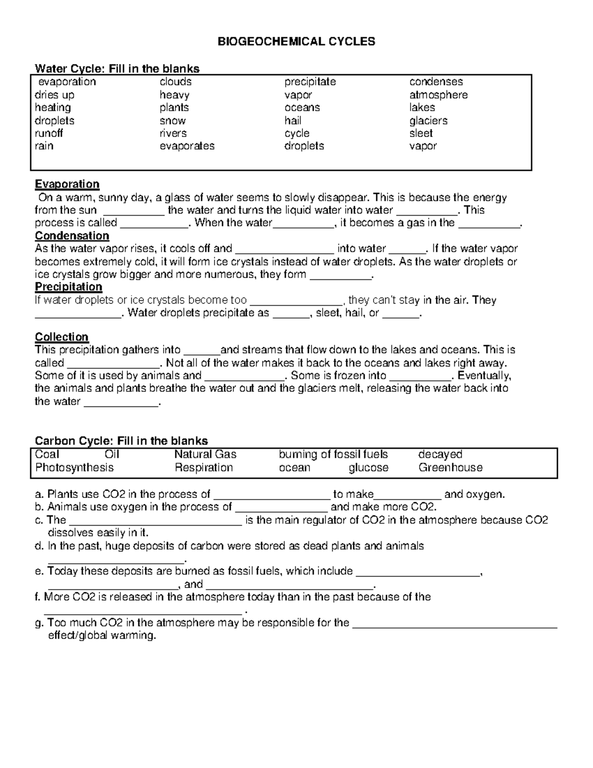 Biogeochemical Cycle Worksheet - BIOGEOCHEMICAL CYCLES Water Cycle ...