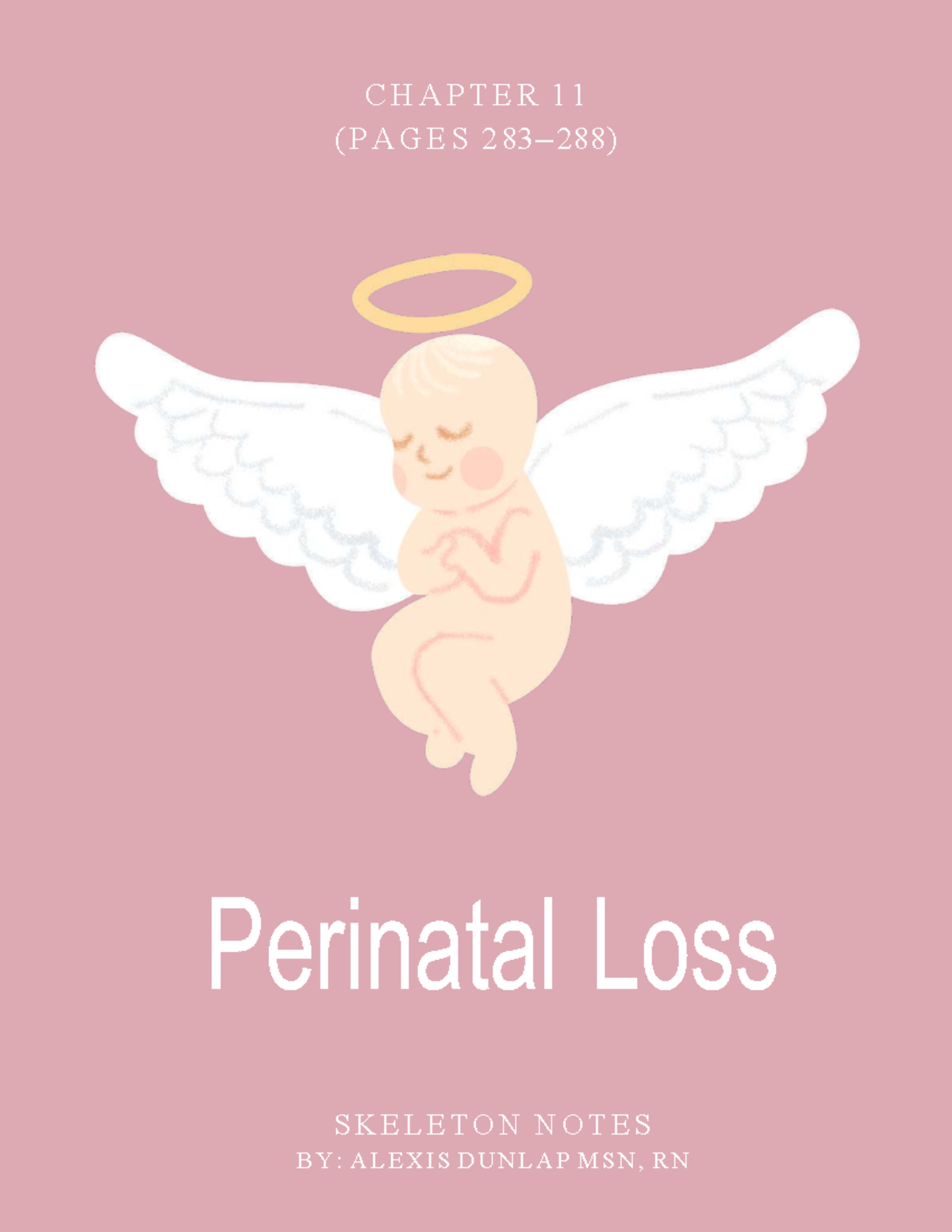 Nursing Care Strategies for Perinatal Loss (B334) - Chapter 11 Notes ...