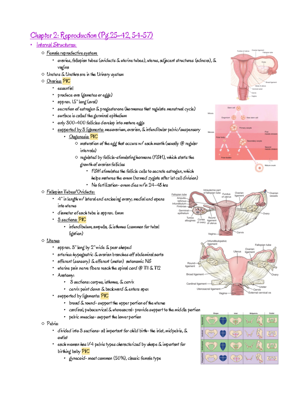 Maternity Exam 1- Textbook Notes - Chapter 2: Reproduction (Pg-42, 54 ...