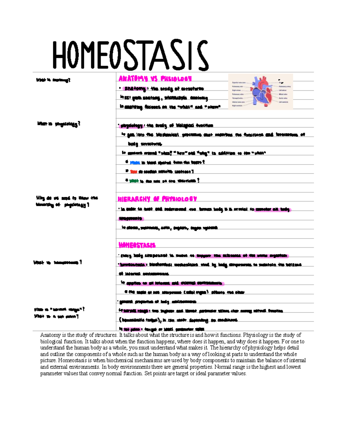 Homeostasis and Feedback Mechanisms in Body Regulation (BIO 3051) - Studocu