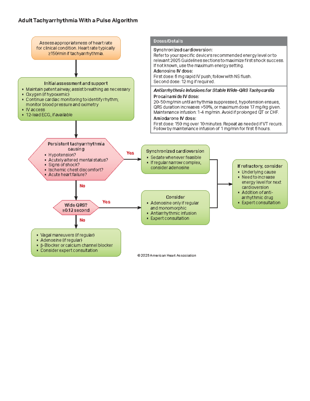 Adult ALS - Tachyarrhythmia with a Pulse Algorithm Guide - Studocu