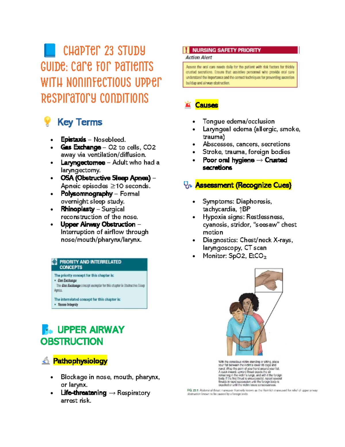Chapter 23 Study Guide: Noninfectious Upper Respiratory Care - Studocu