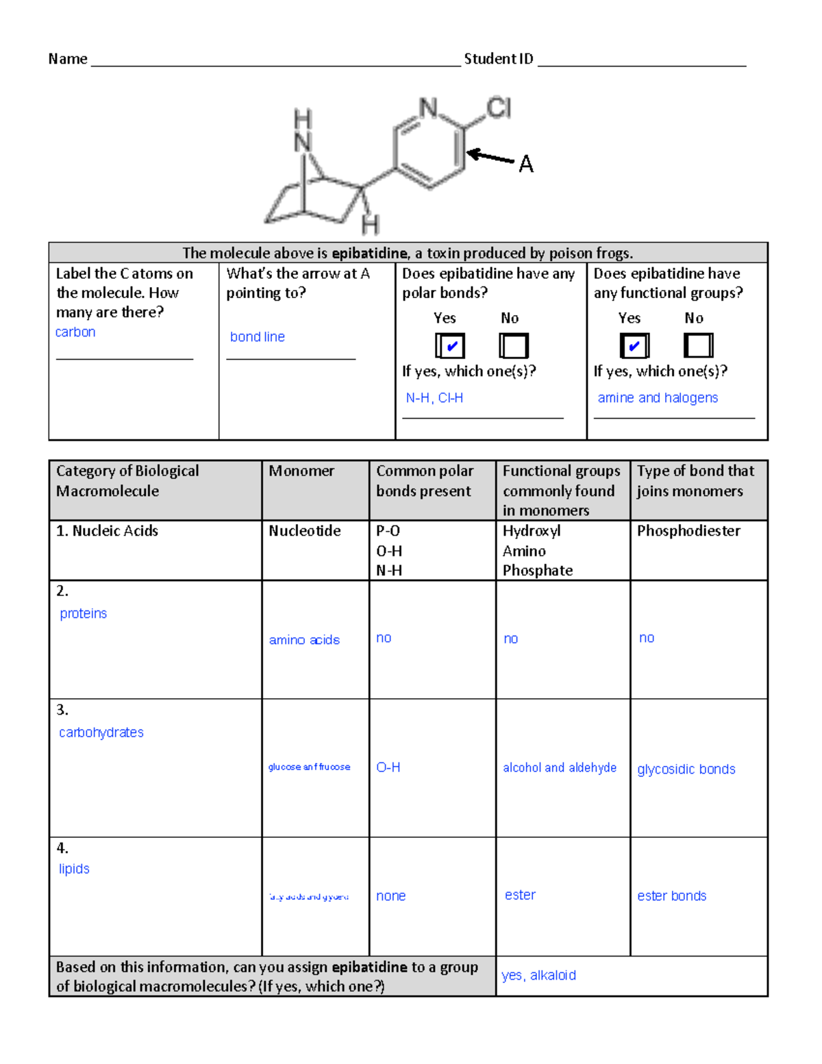 Biological Macromolecule Activity 2022: Epibatidine Analysis - Studocu
