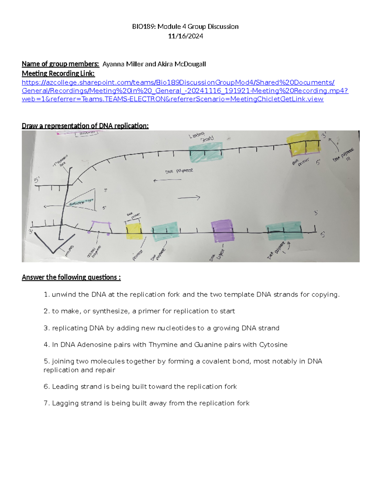 BIO189: Module 4 Group Discussion on DNA Replication Mechanics - Studocu