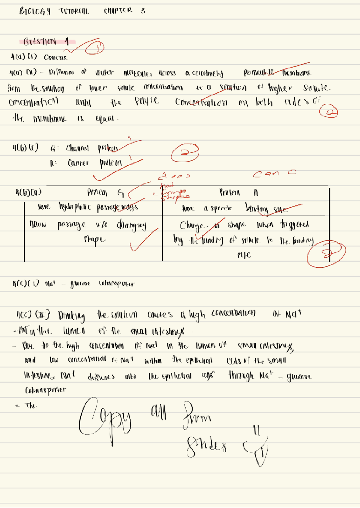 BIOLOGY TUTORIAL: CHAPTER 3 - DIFFUSION & TRANSPORT MECHANISMS - Studocu