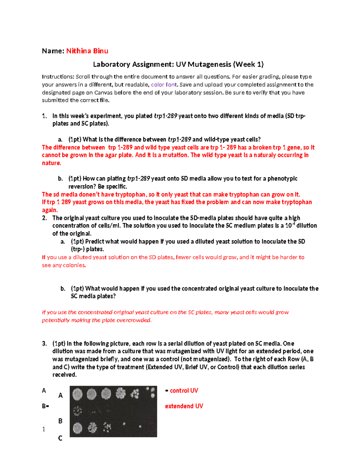 UV mutagenesis (Week 1) Lab Assignment - Name: Nithina Binu Laboratory Assignment: UV ...