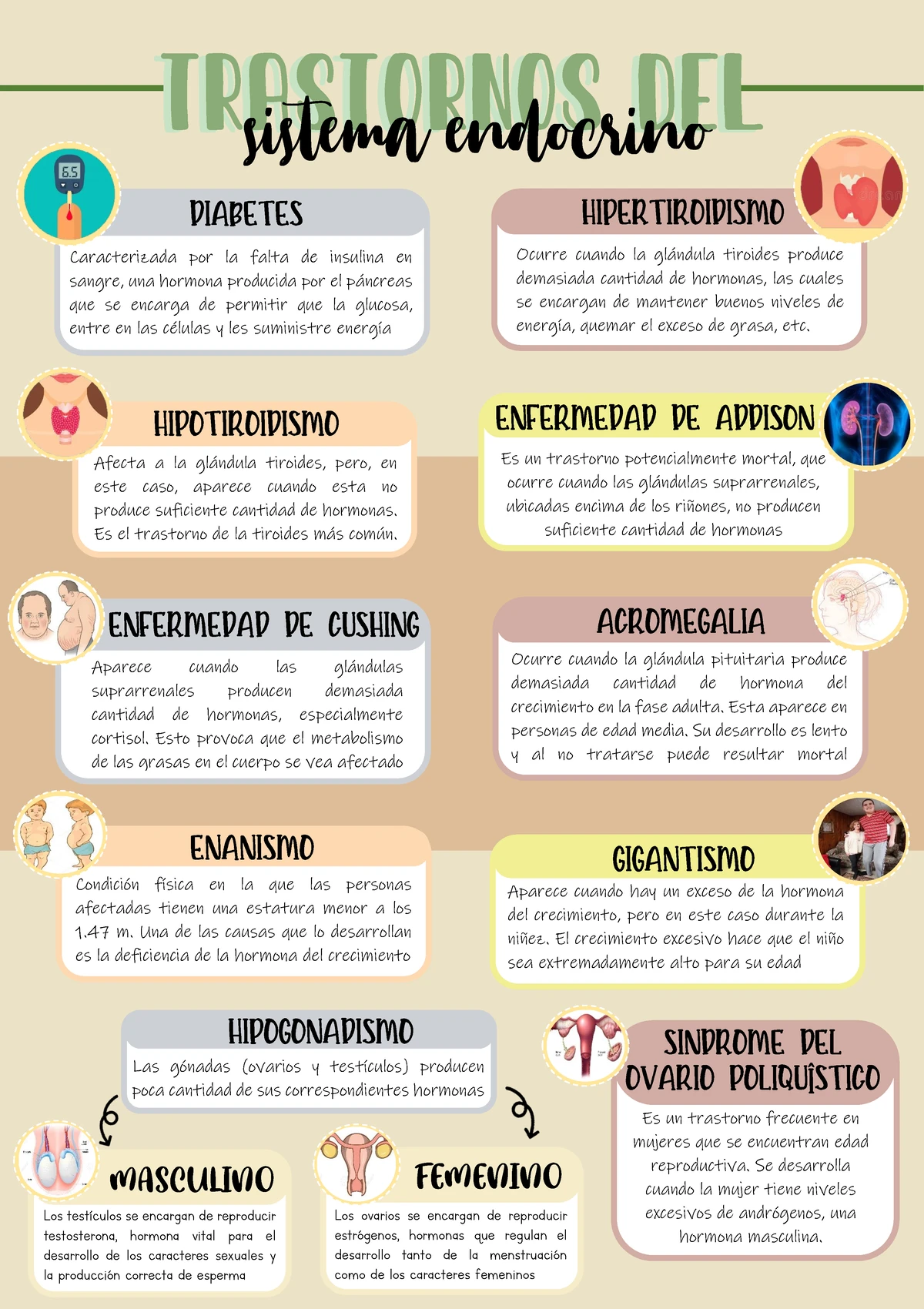 Crítica e Idealismo Alemán: Un Análisis de Kant y Hegel - Studocu