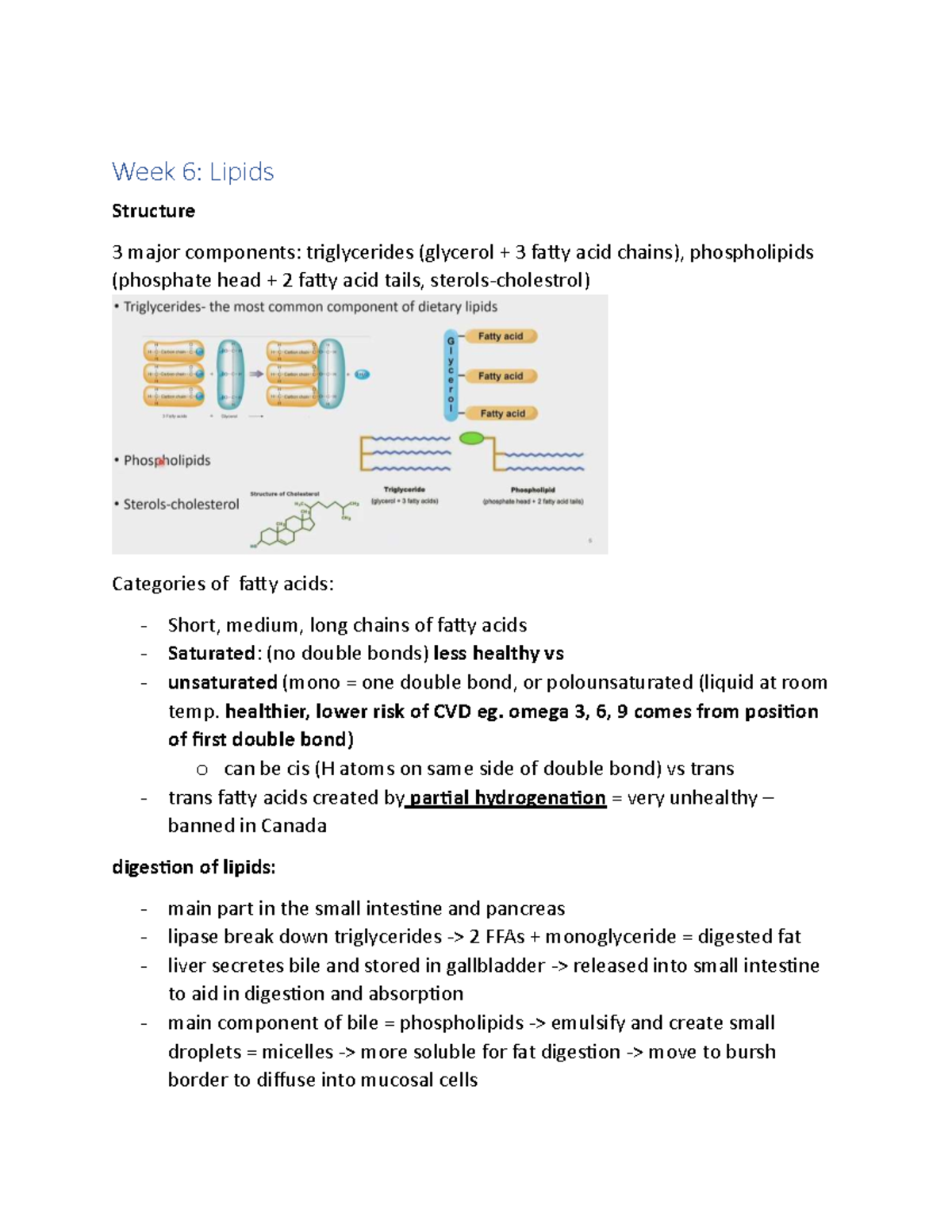 NFS284 Final Exam Notes: Lipids, Proteins, and Weight Management - Studocu