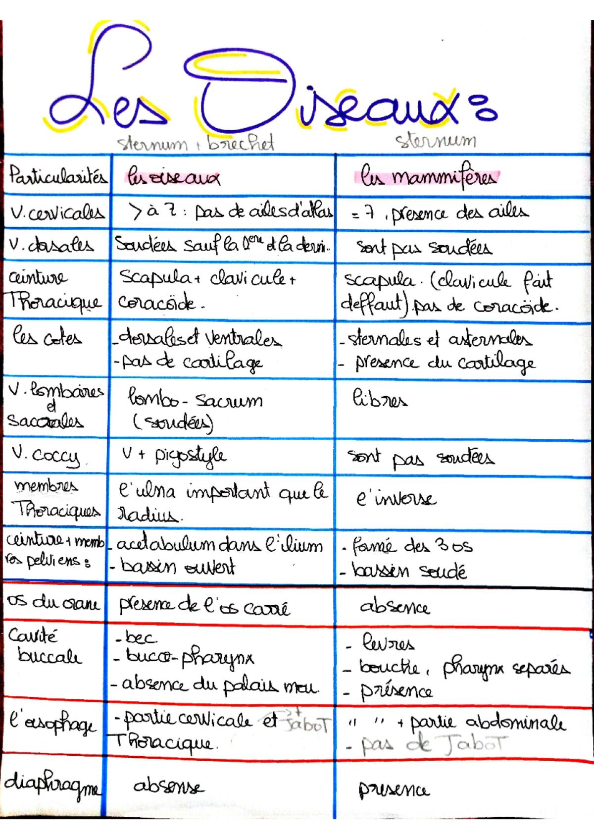 Les oiseaux - Les seaux 00 sternum brechet sternum Particularites les ...
