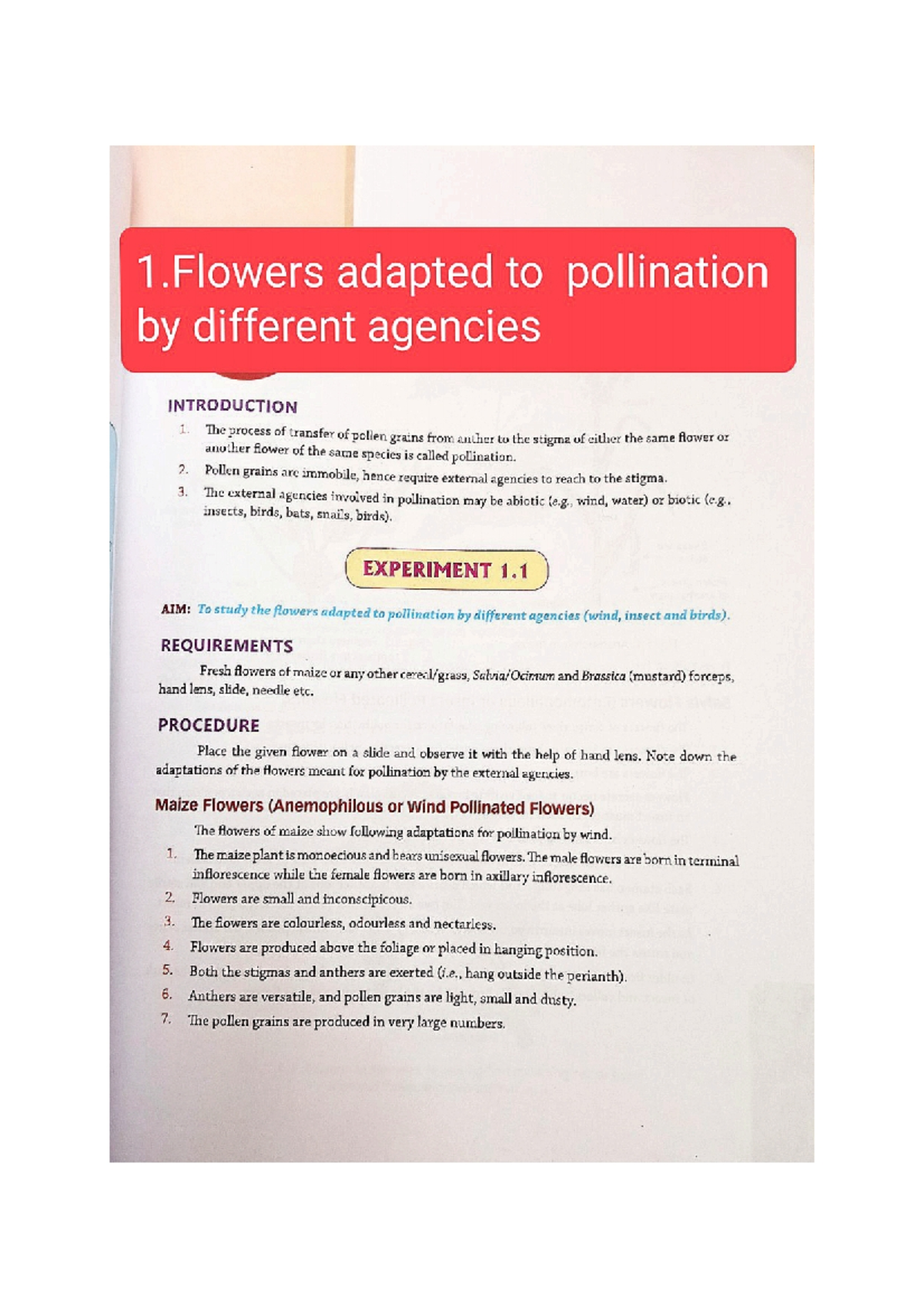 Pollination Adaptations in Flowers: A Study Lab Experiment 1 - Studocu