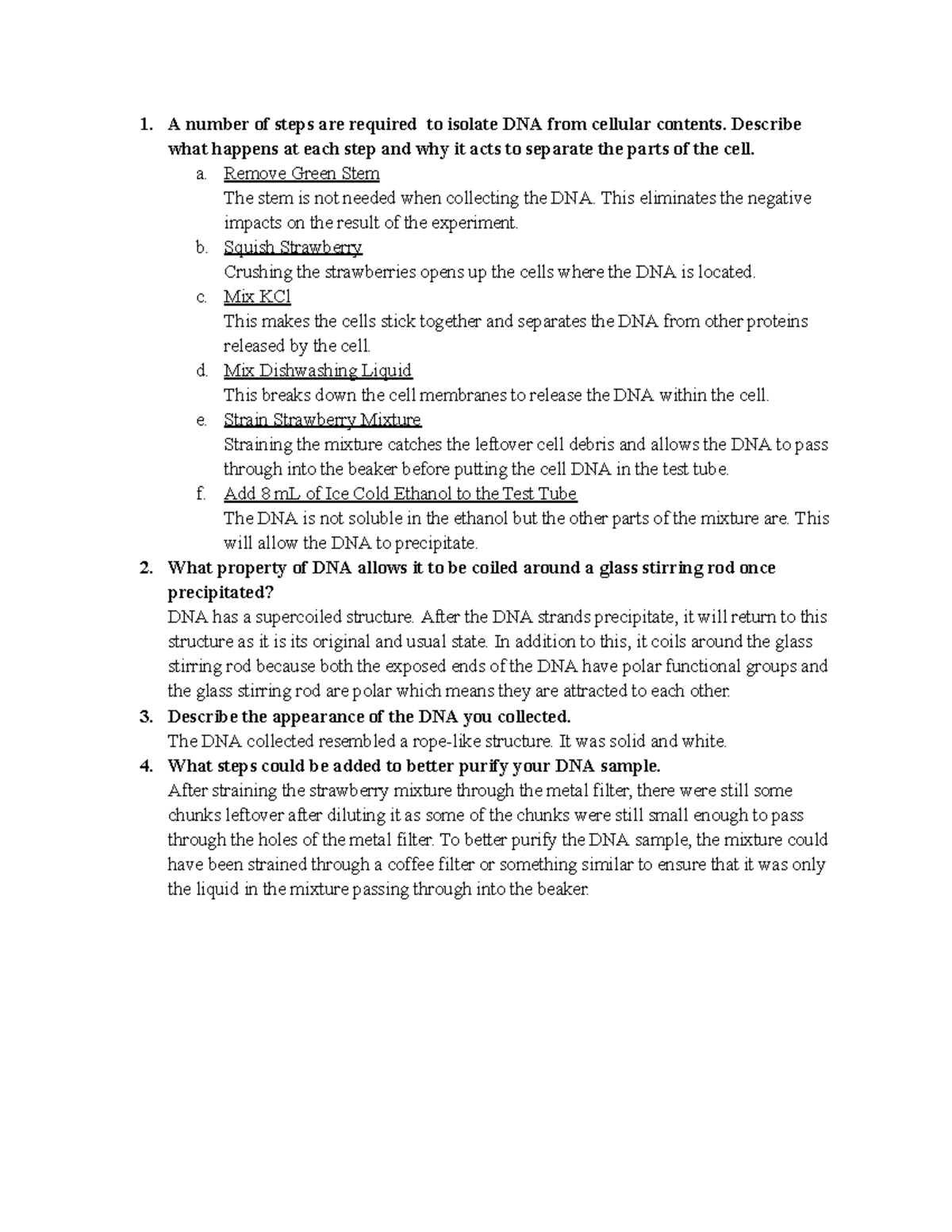 SBI4U DNA Extraction Lab: Step-by-Step Process and Observations - Studocu