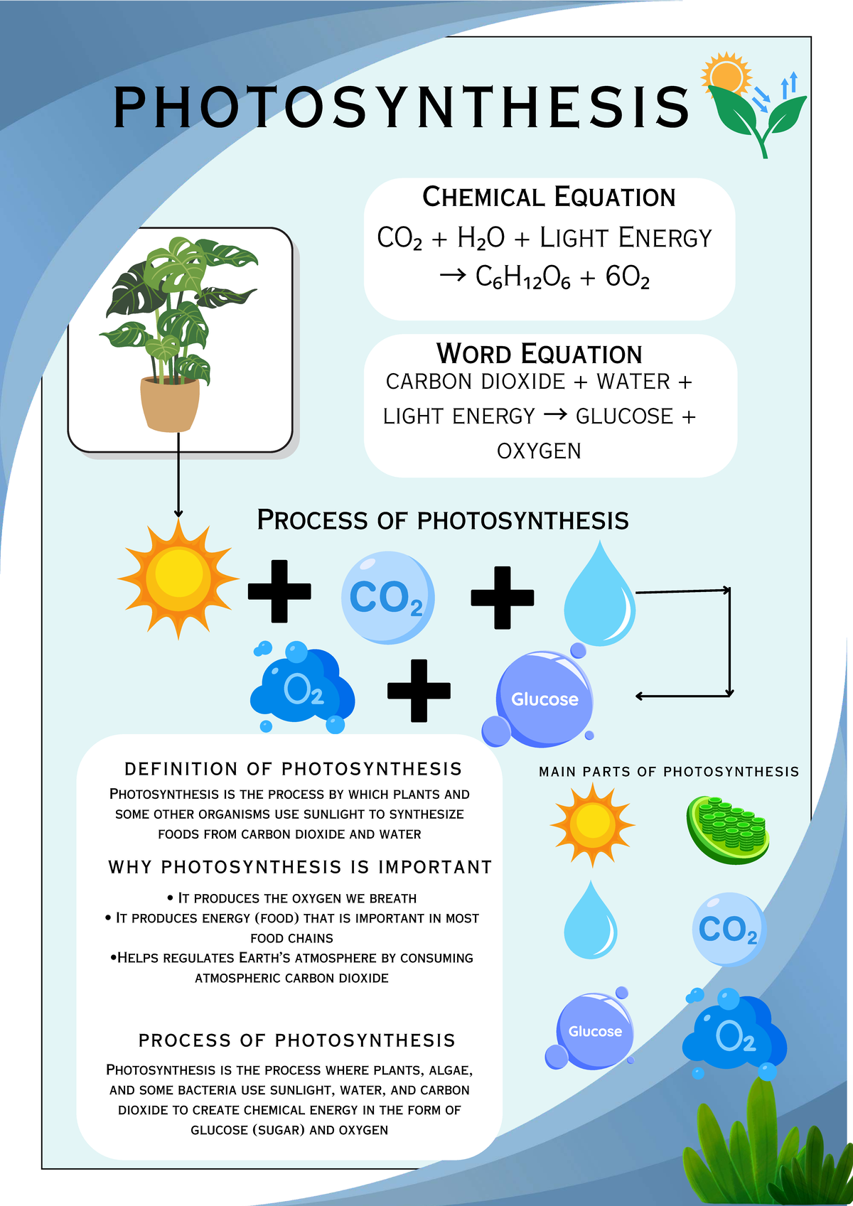 PHOTOSYNTHESIS Process & Chemical Equation - Just Science - Studocu