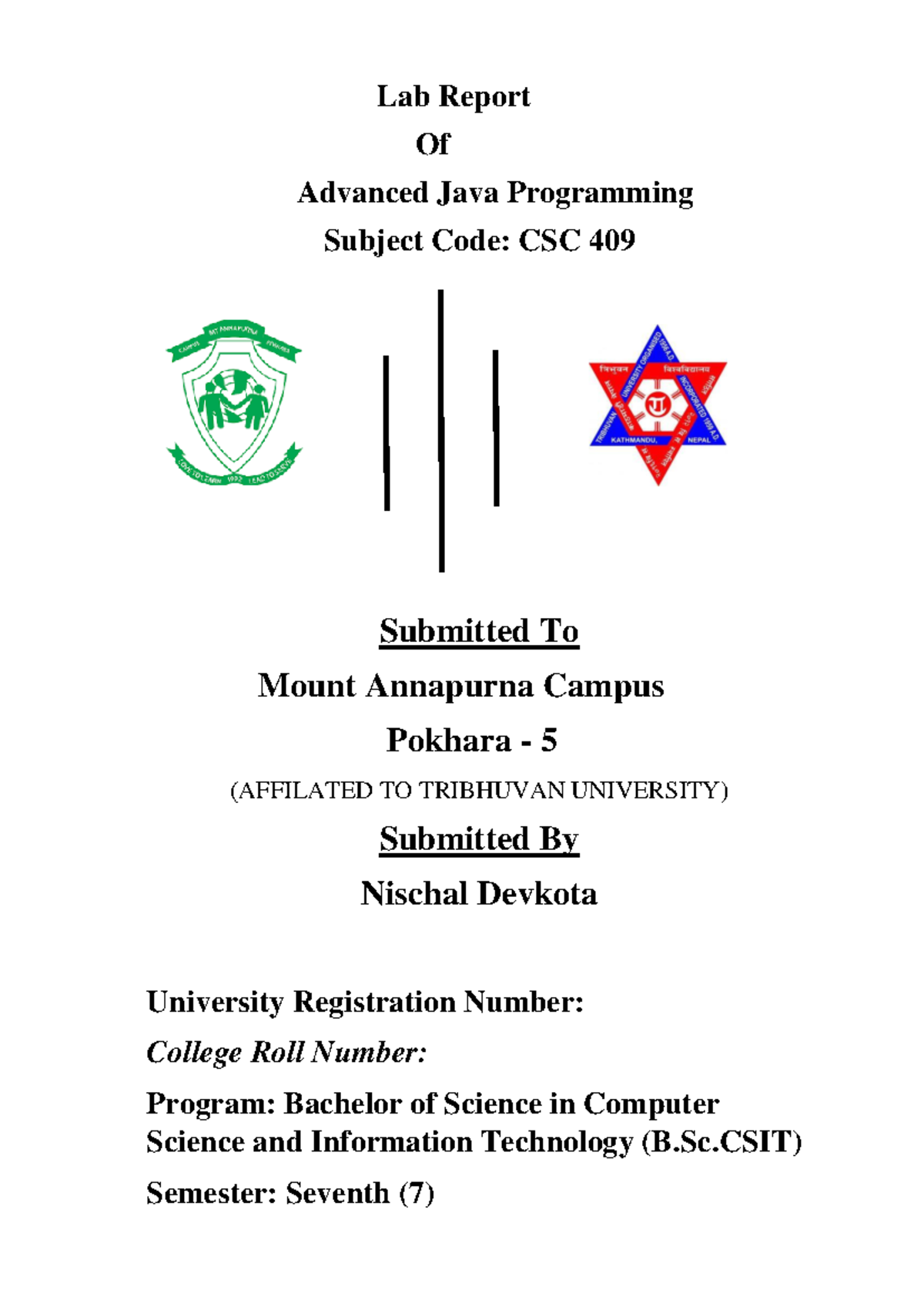 Java Lab Report Cover Very Good Numerical Methods Lab Report Of