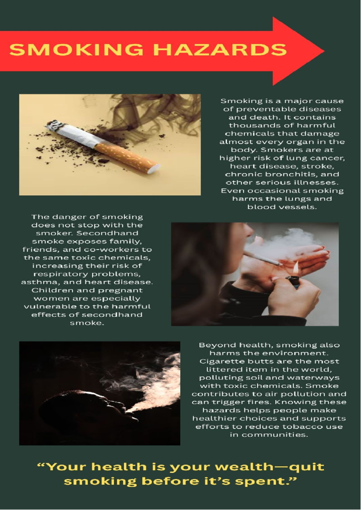 SMOKING HAZARDS: Health Risks and Environmental Impact - INFOS IN MIL ...