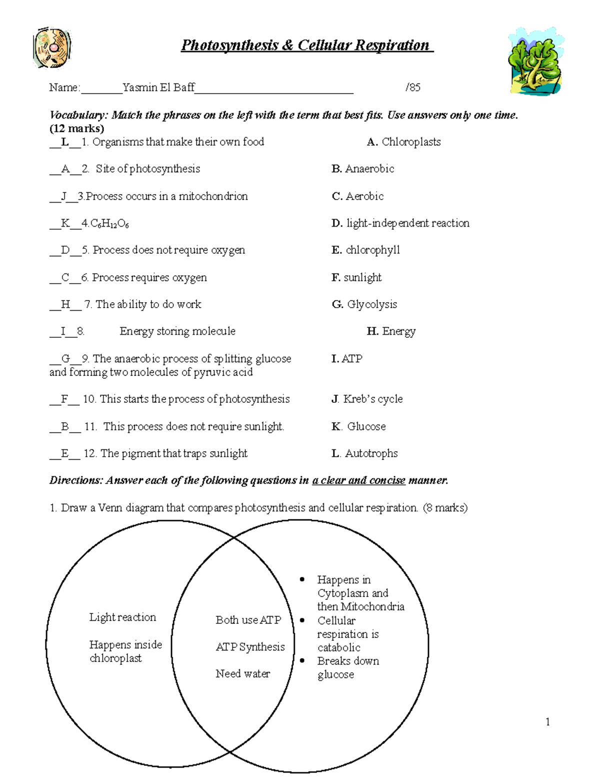 Cell Respiration & Photosynthesis: Key Concepts & Questions - Studocu