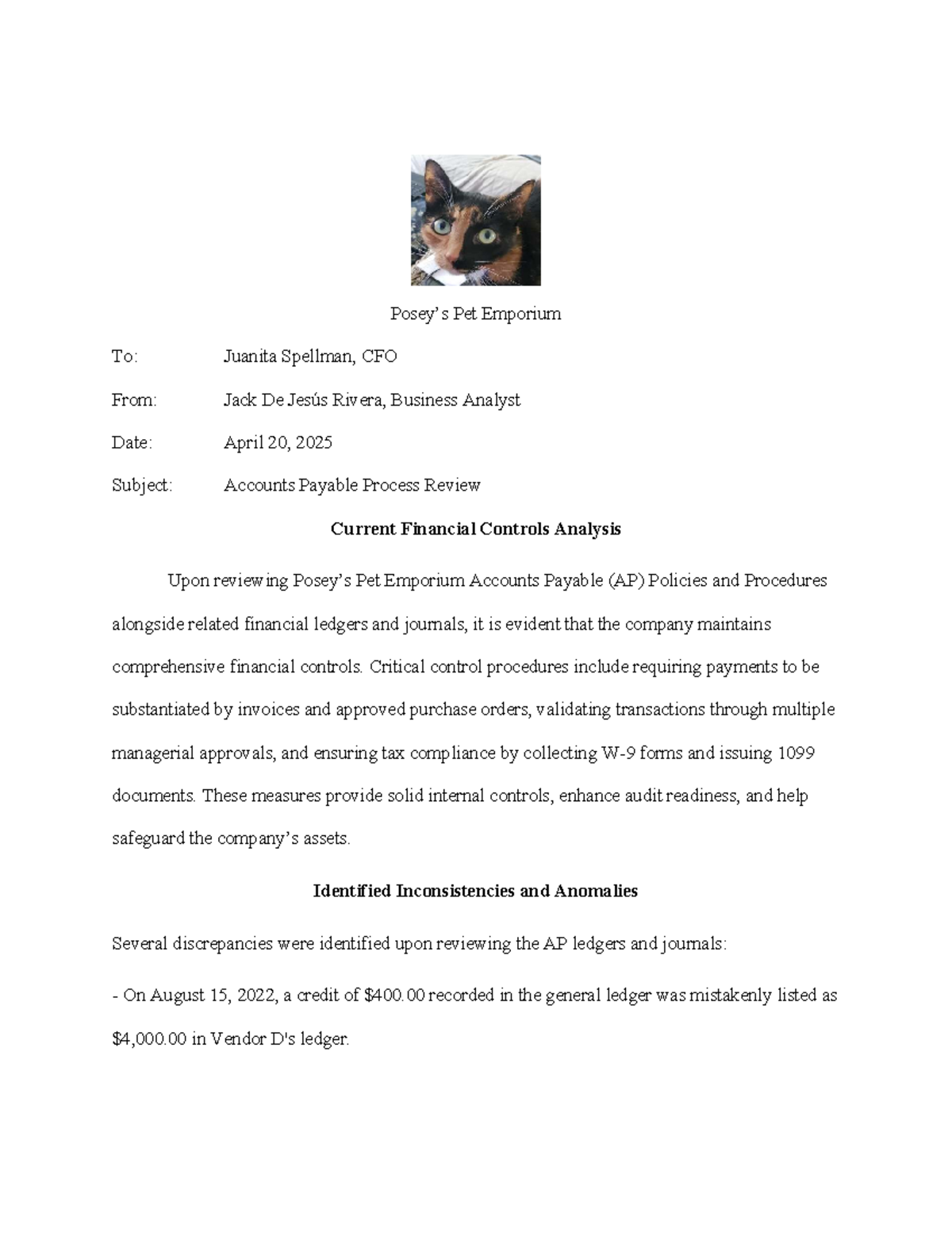 ACC315: Accounts Payable Process Review & Risk Analysis - Studocu