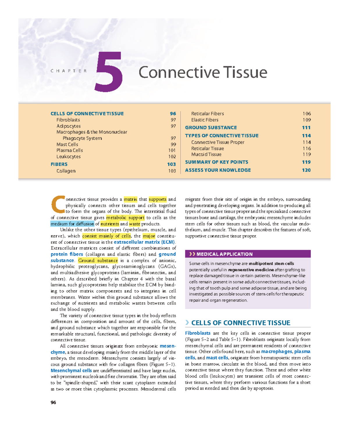 C H A P T E R 5 Connective Tissue: Cells and Functions in Histology ...