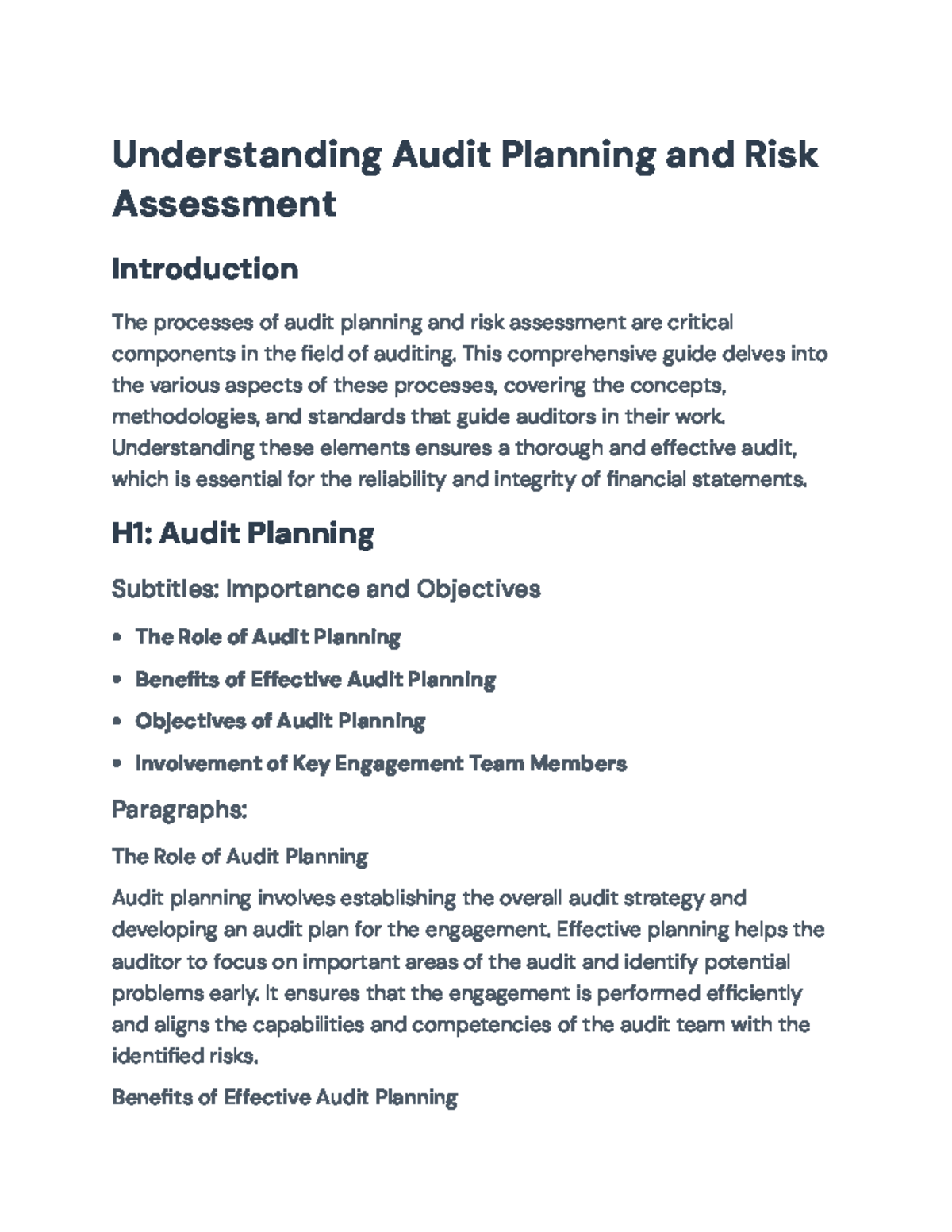 Audit Planning & Risk Assessment: Essential Guide for Auditors - Studocu