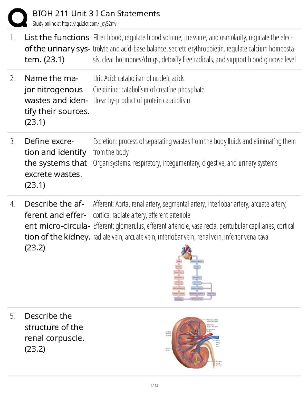 BIOH 211 Unit 3 I Can Statements: Urinary System Functions & Key ...