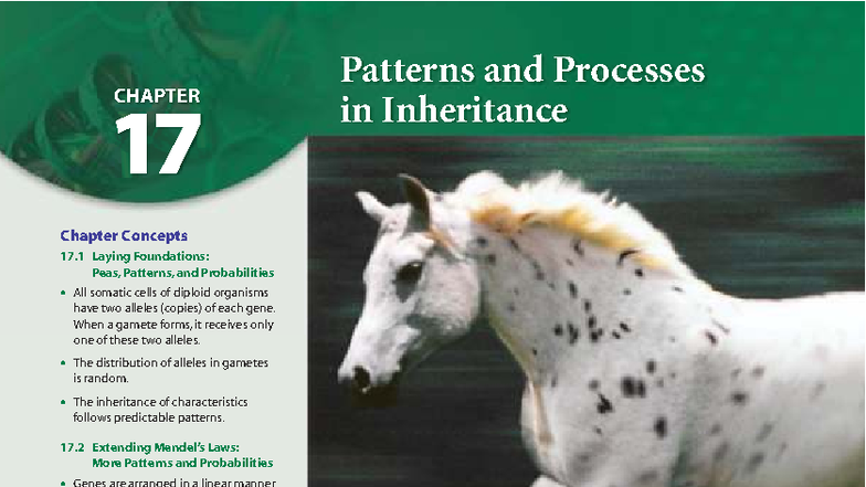 CHAPTER 17 Patterns and Processes in Inheritance: Key Concepts and ...