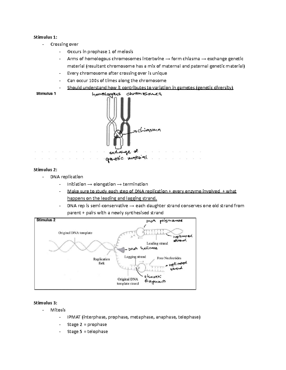 Bio 101: Meiosis, DNA Replication, and Mitosis Overview - Studocu