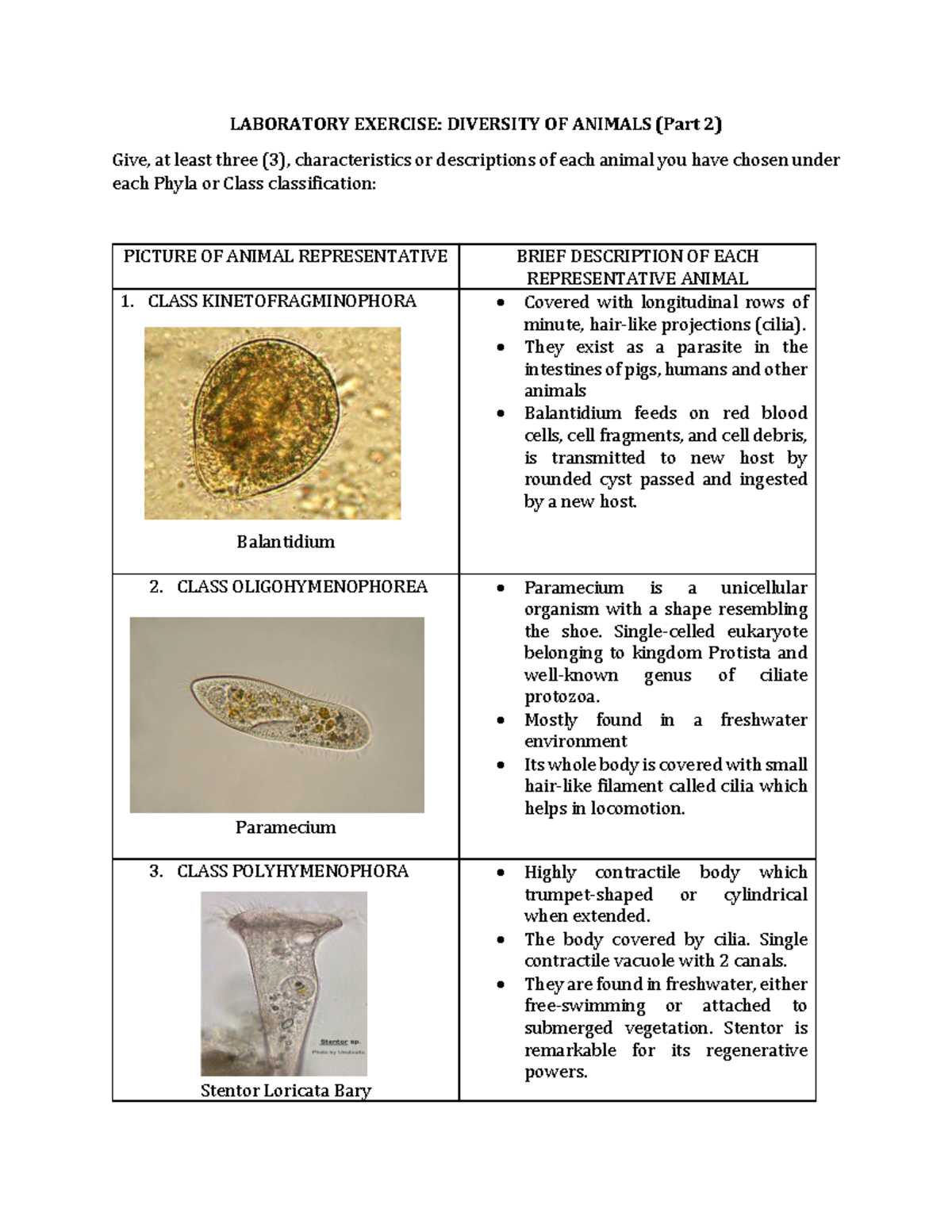 Zoology Lab Exercise 6: Exploring Animal Diversity Part 2 - Studocu
