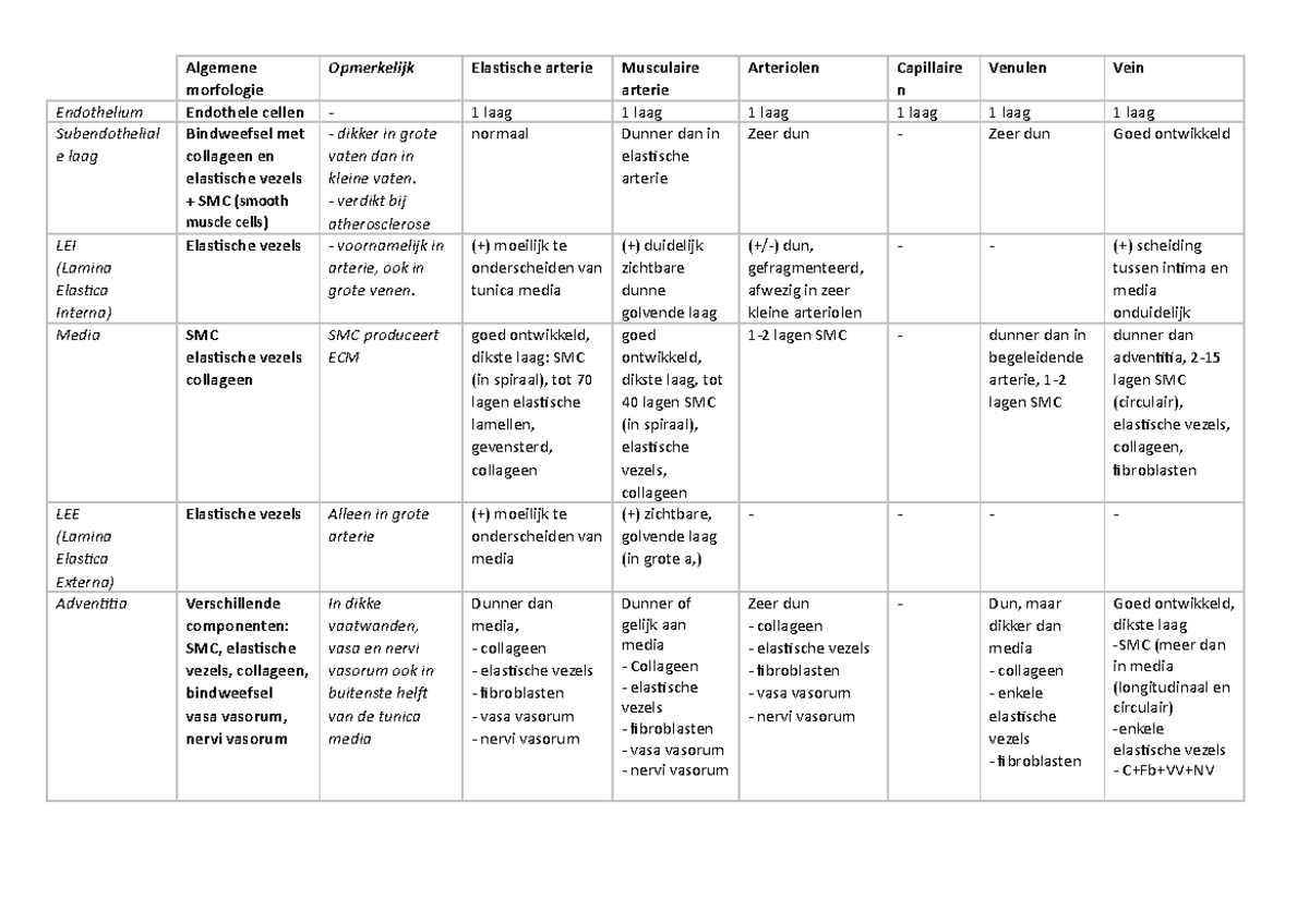 Overzicht van Arterie en Venen: Morfologie en Structuur - Studeersnel