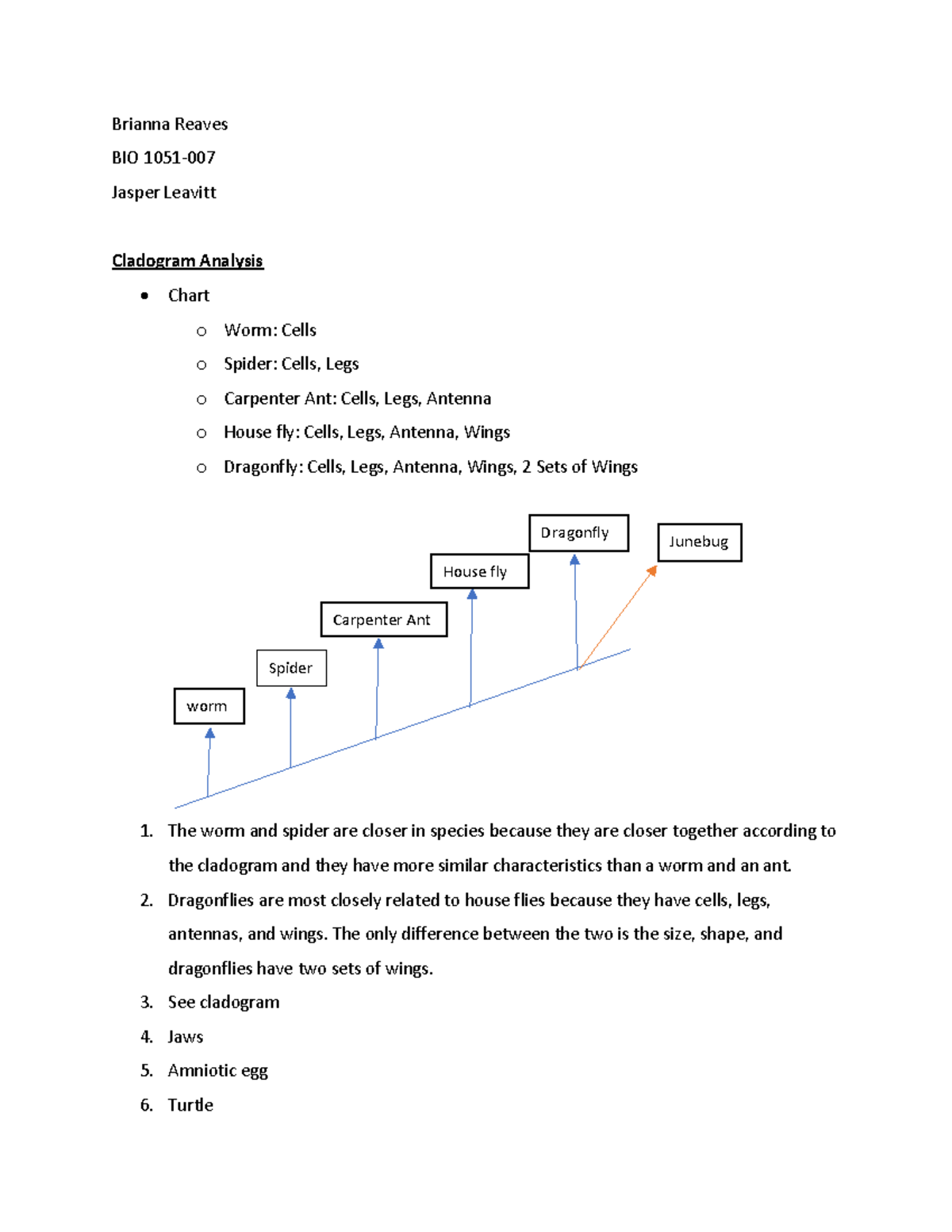 Cladogram Analysis for Lab 5 - Alternative Assignment BIO 1051 - Studocu