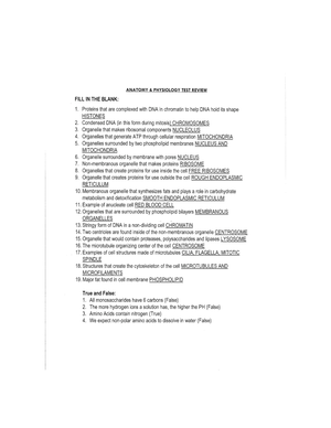 [Solved] Which layer of connective tissue sits directly on the kidney ...