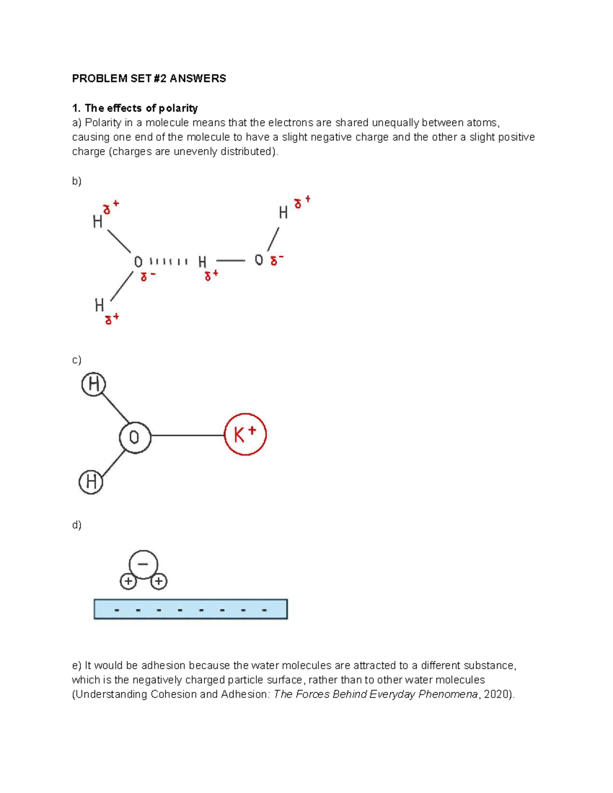 JEG205 - Problem Set 2: Understanding Polarity and Water Movement - Studocu