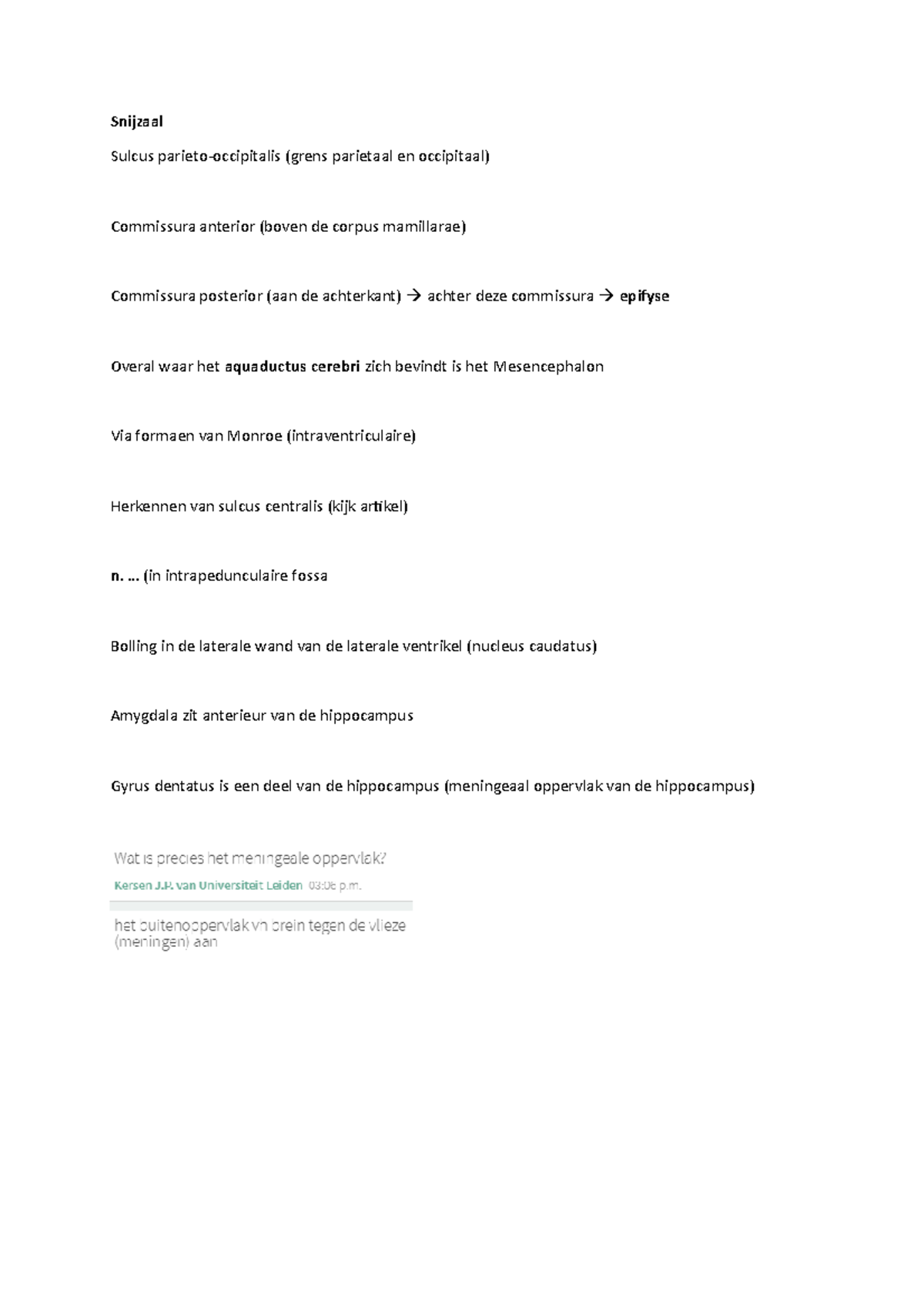 Snijzaal Practicum Hersenen - additionele informatie - Snijzaal Sulcus ...