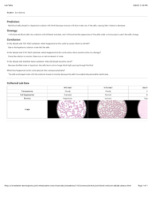 Biology 101: Chapter 1 Study Guide on Evolution Foundations - Chapter 1 – Evolution and the ...