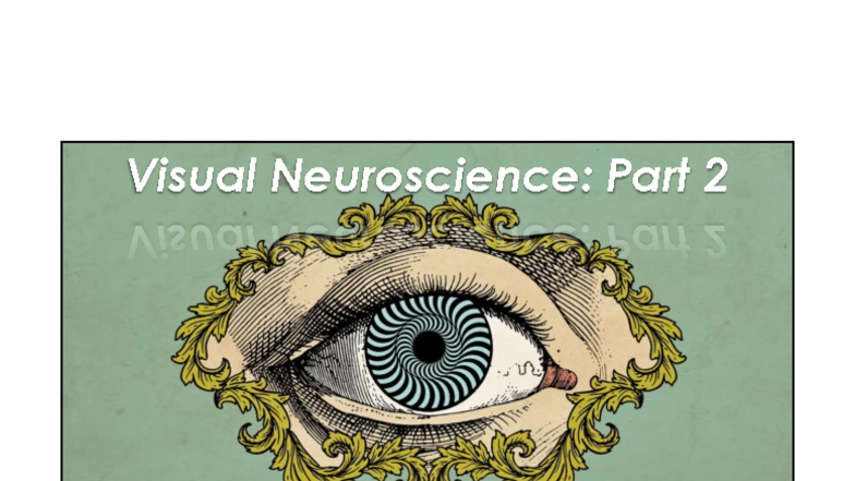 Visual Neuroscience: PSYCHOPHYSICS & Perception Challenges (Week 6 ...