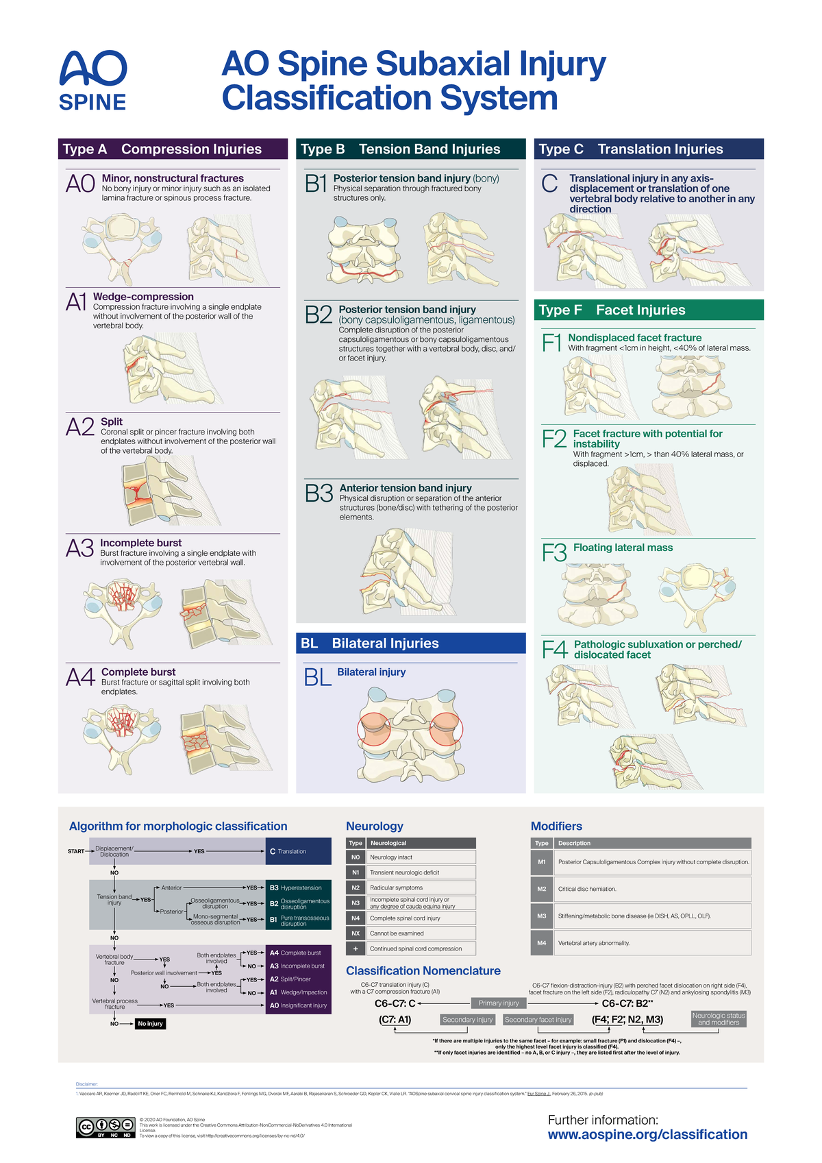 AO Spine Subaxial Injury Classification System Overview - Studocu