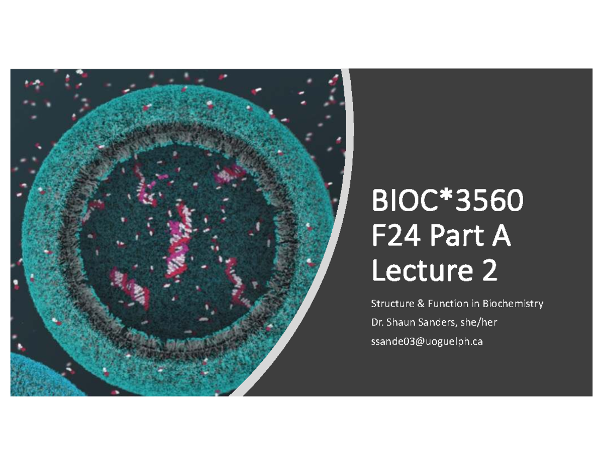 BIOC 3560 F24 Lecture 2 - Structure and Function of Proteins - Studocu