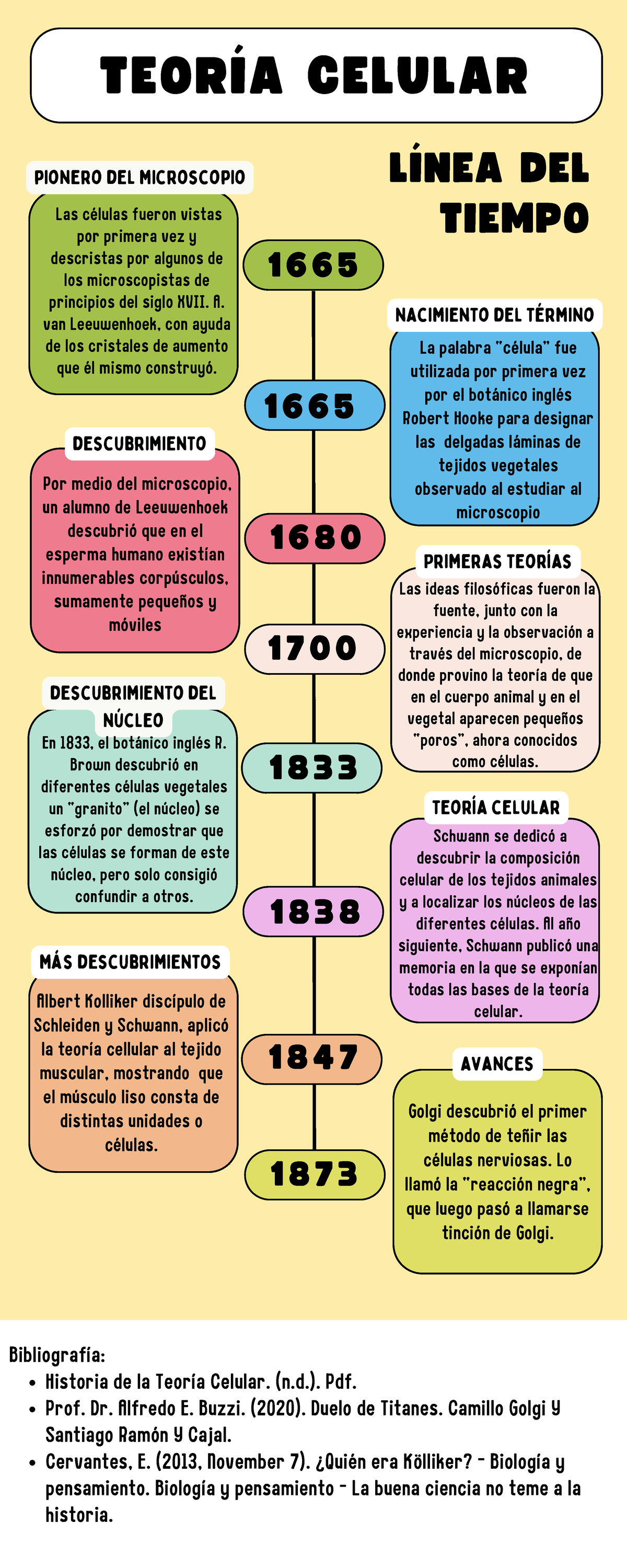 Teoría celular línea del tiempo - Las células fueron vistas por primera ...